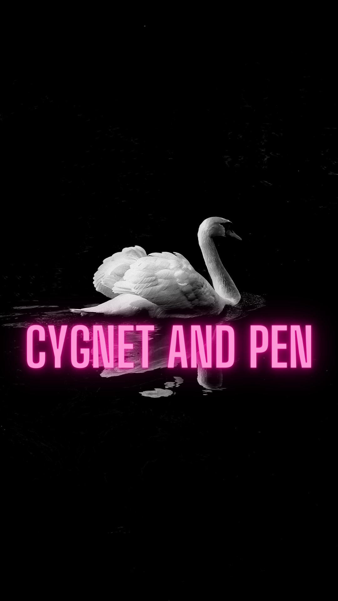 Colourful and quirky 3d Printed pieces Canberra – Cygnet and Pen